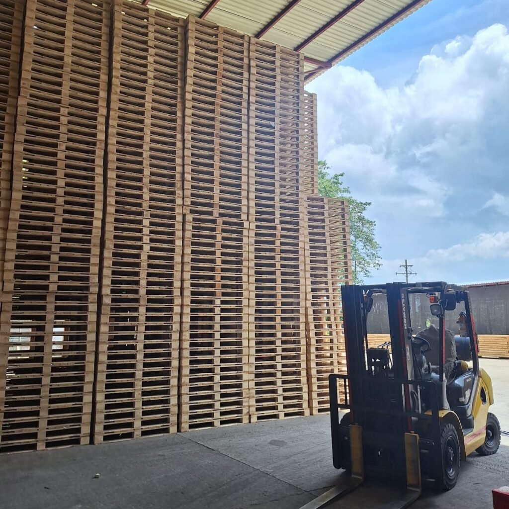 ¿Por qué elegir estibas de madera personalizadas para tu negocio? - LOS ...