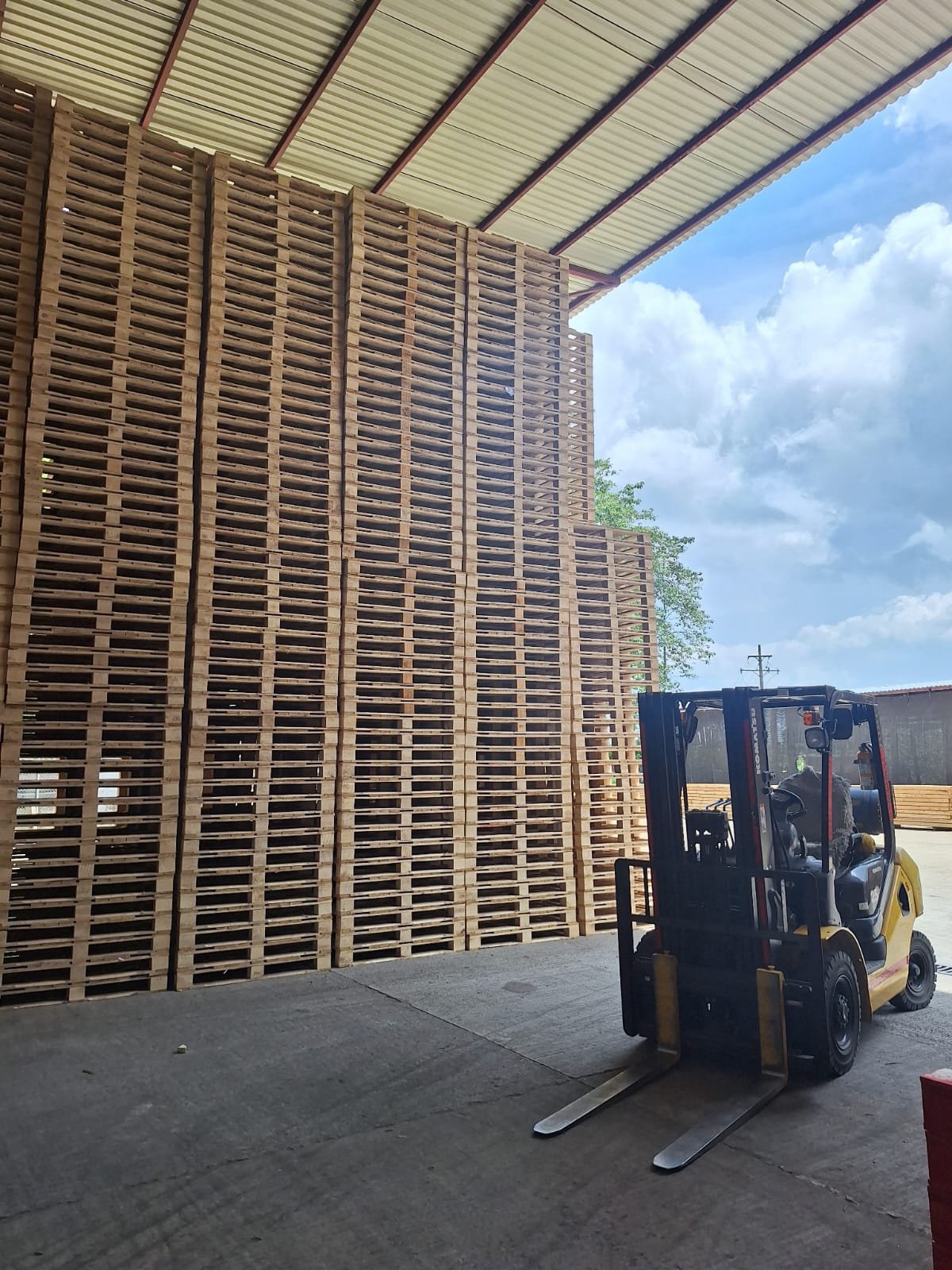 ¿Por qué elegir estibas de madera personalizadas para tu negocio? - LOS ...