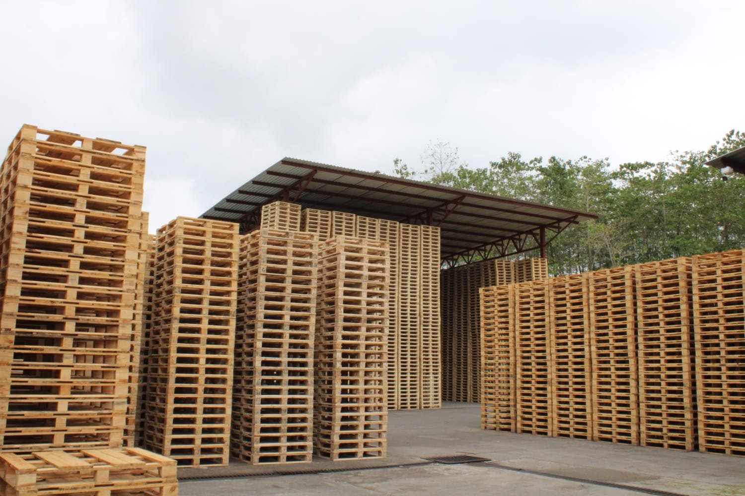 Estibas de madera personalizadas: la clave para una logística eficiente ...